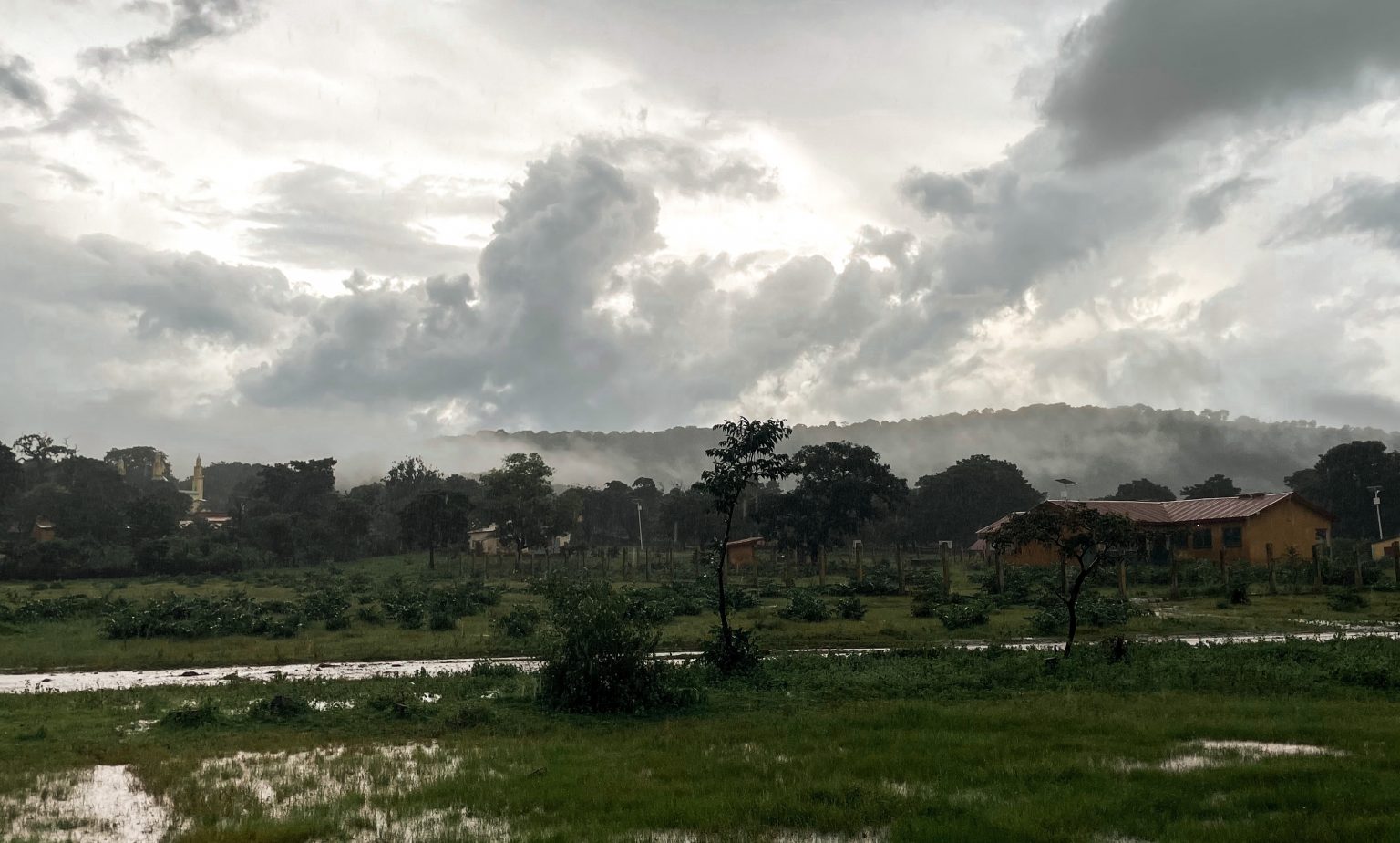 Semaines 2 et 3- Les fondations– Première semaine à Pilimini – PRÉCI